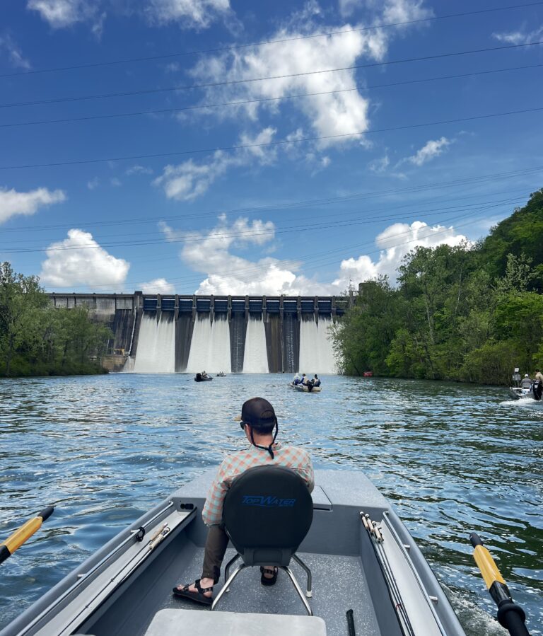 FLOWS | GENERATION SCHEDULES